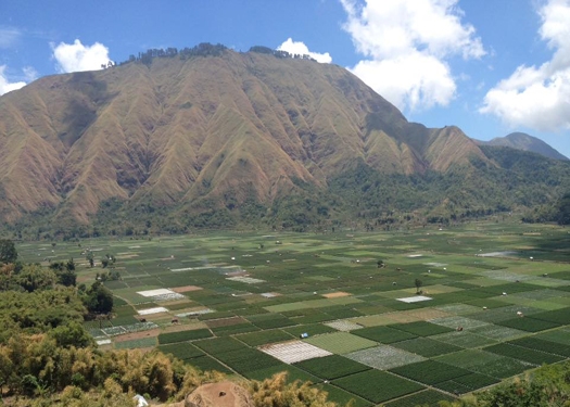 Pergasingan hill top soft hiking trip in one day cheap packge price