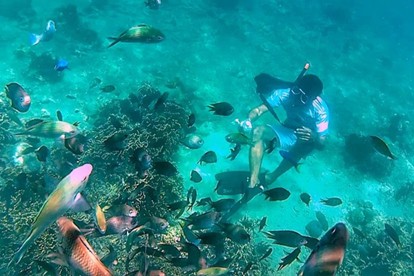 gili rengit and gili layar lombok one day snorkeling tour